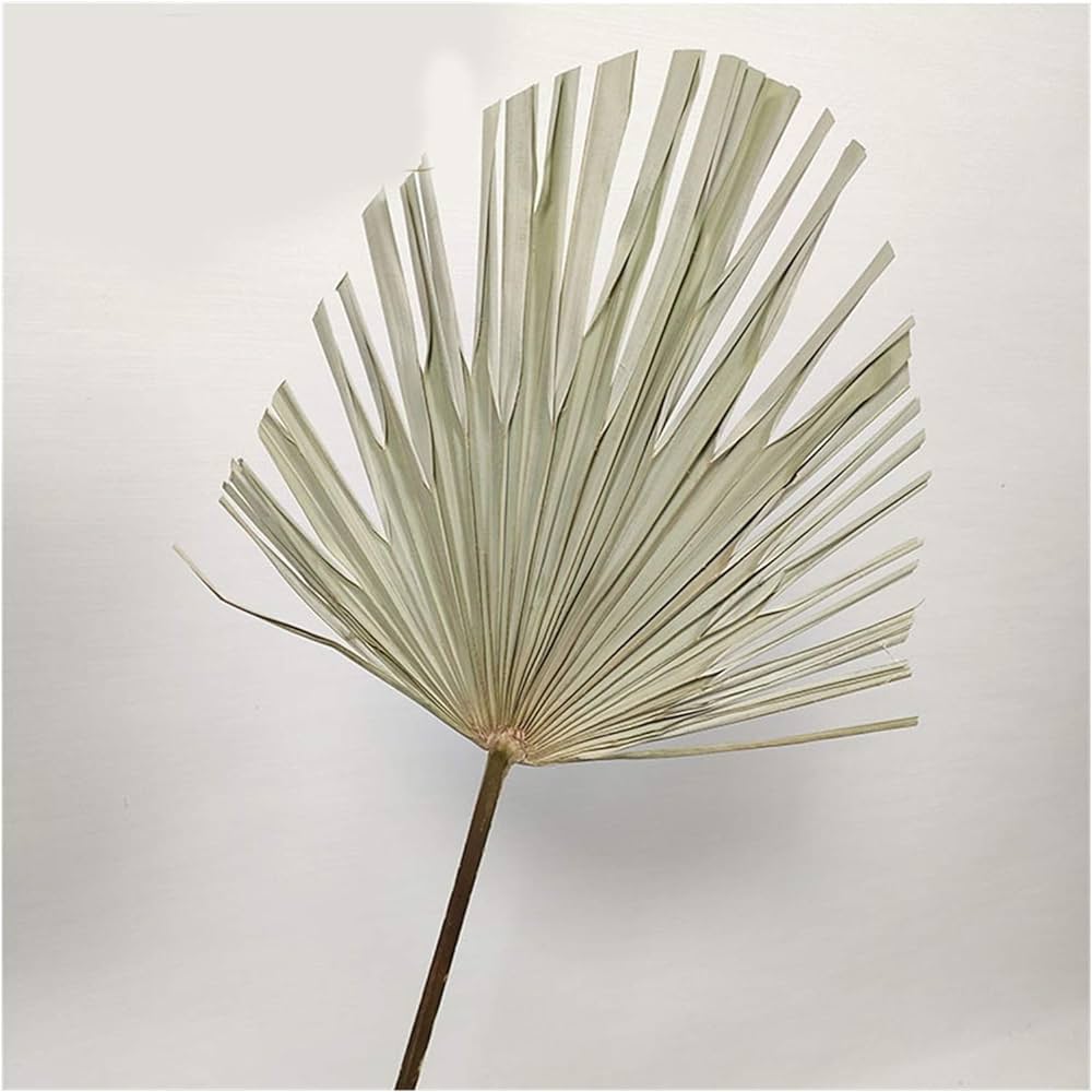 Natural Decors